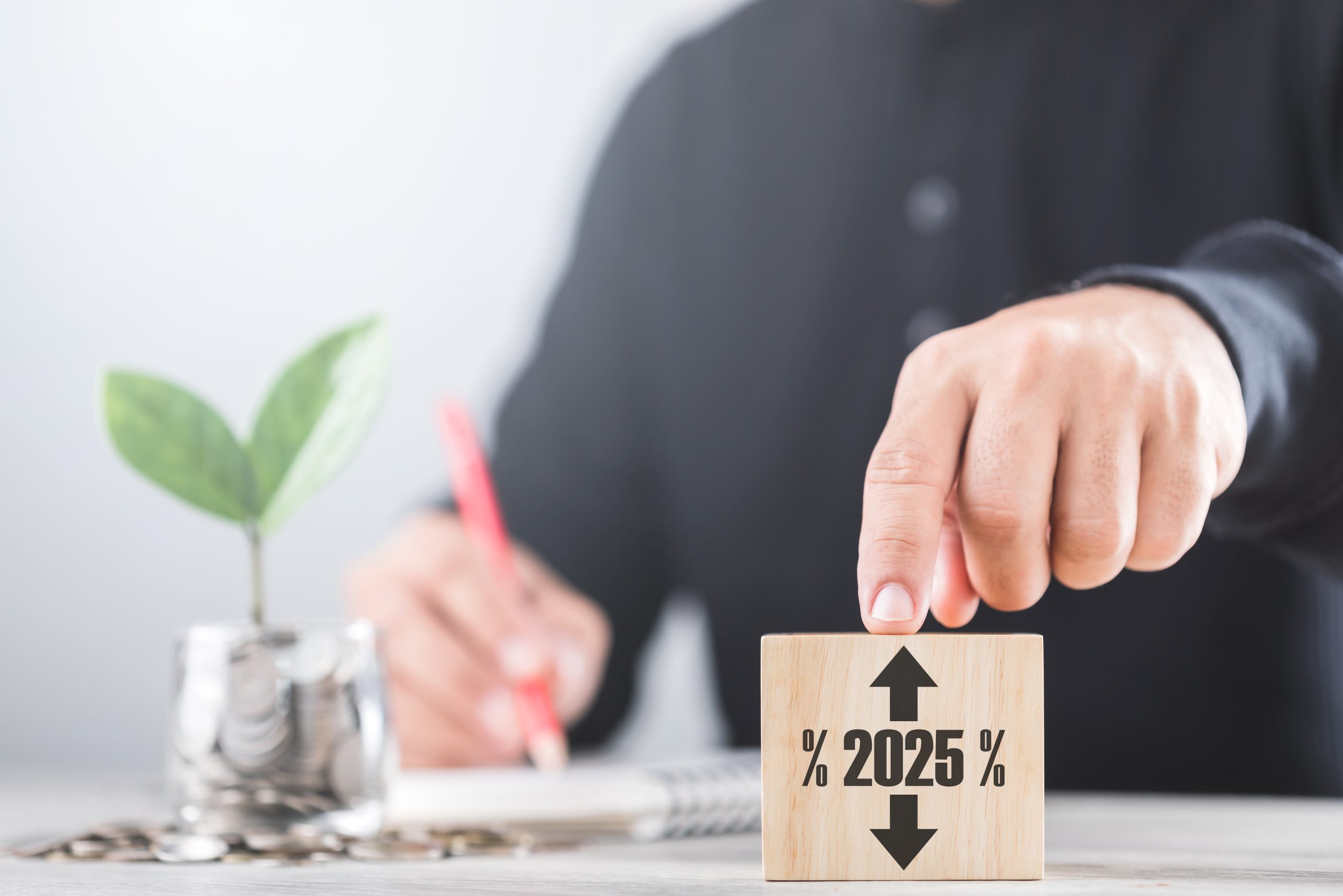 Reducerea dobânzii BNR în 2025: opinia economiștilor ING